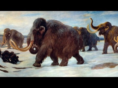 คอลัมน์ รู้ไปโม้ด : แมมมอธคืนชีพ (ตอนจบ) - ข่าวสด