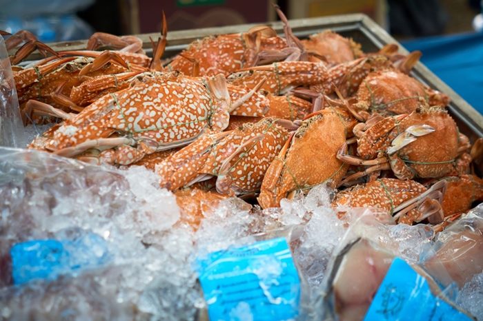 “Fisherfolk x Jai Talad, Fish Market in Bangkok ตลาดปลากลางกรุง” 23-24 ...