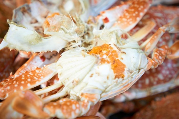 “Fisherfolk x Jai Talad, Fish Market in Bangkok ตลาดปลากลางกรุง” 23-24 ...