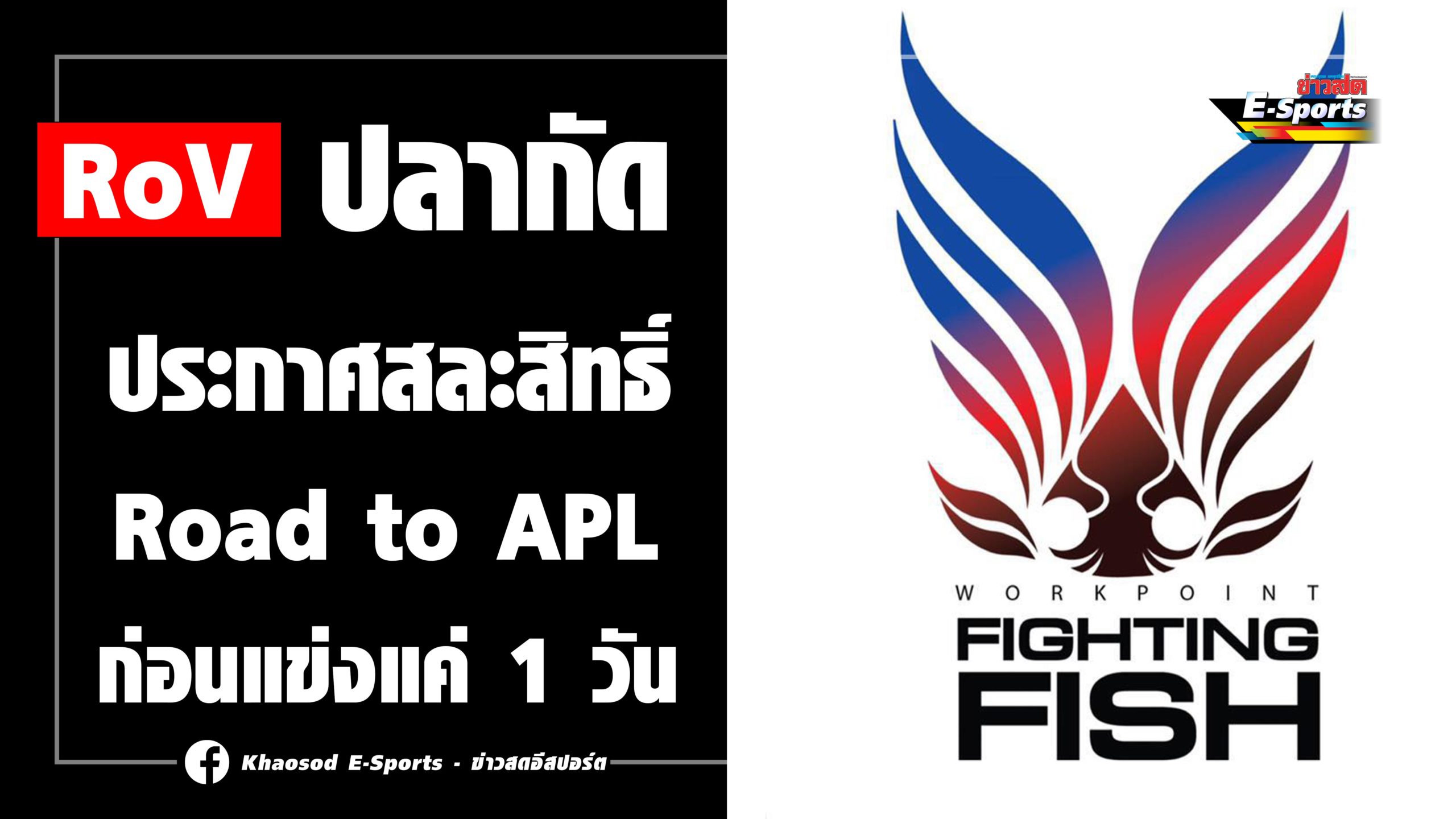 Workpoint Fighting Fish สละสิทธิ์คัด APL ก่อนแข่งวันเดียว! - ข่าวสด