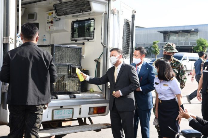 ไทยส่งคืนอุรังอุตัง "นาตาลี – อุ๋งอิ๋ง" กลับถิ่นกำเนิดประเทศอินโดนีเซีย