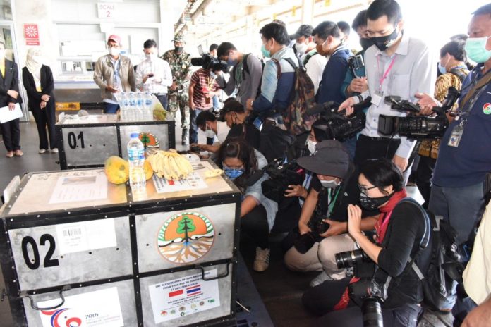 ไทยส่งคืนอุรังอุตัง "นาตาลี – อุ๋งอิ๋ง" กลับถิ่นกำเนิดประเทศอินโดนีเซีย