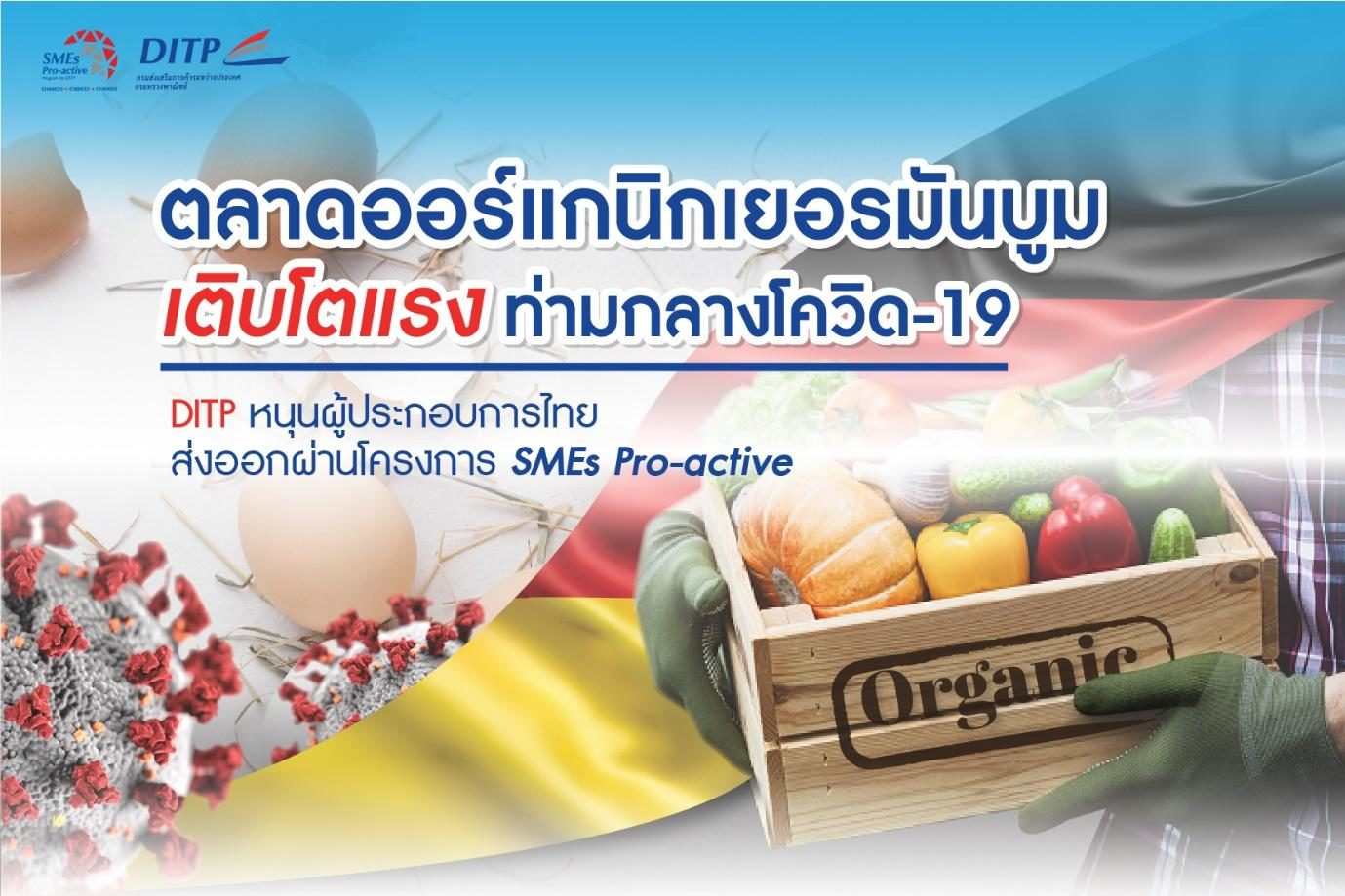 ตลาดออร์แกนิกเยอรมันบูม เติบโตแรงท่ามกลางโควิด-19 DITP หนุนผู้ประกอบการไทยส่งออกผ่านโครงการ SMEs ...