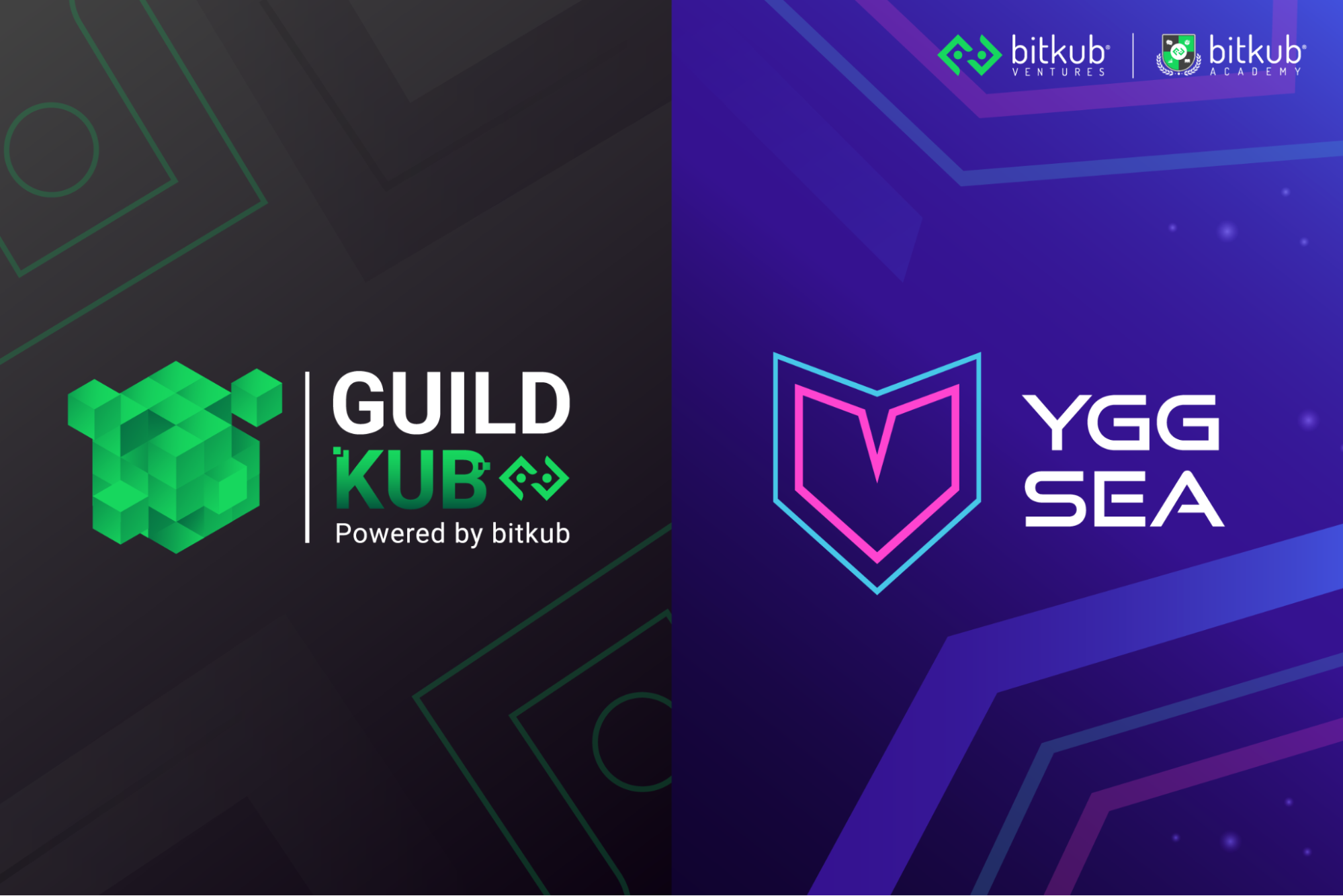 การร่วมมือครั้งสำคัญในระดับทวีป Bitkub Ventures และ Bitkub Academy จับมือ YGG SEA สนับสนุนเกมเม ...