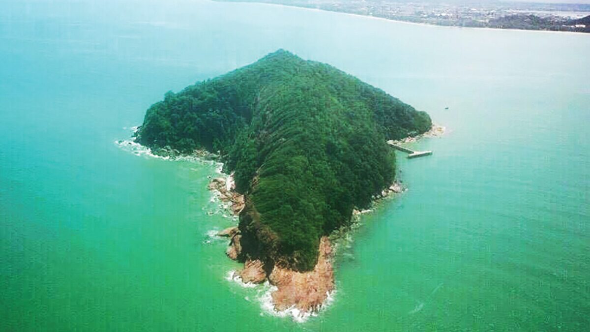 เกาะแมว Archives 1 - ข่าวสด