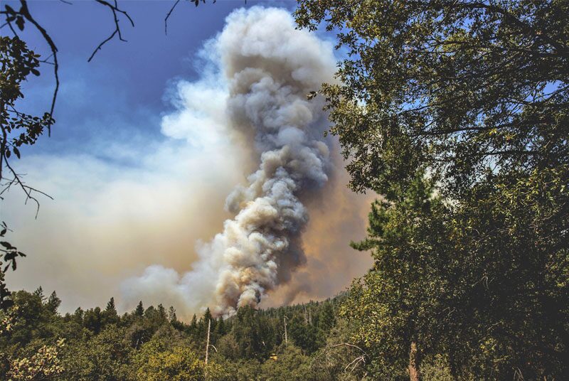 2,000 officers rushed to extinguish the "Oak Fire", burning 40,000 rai ...
