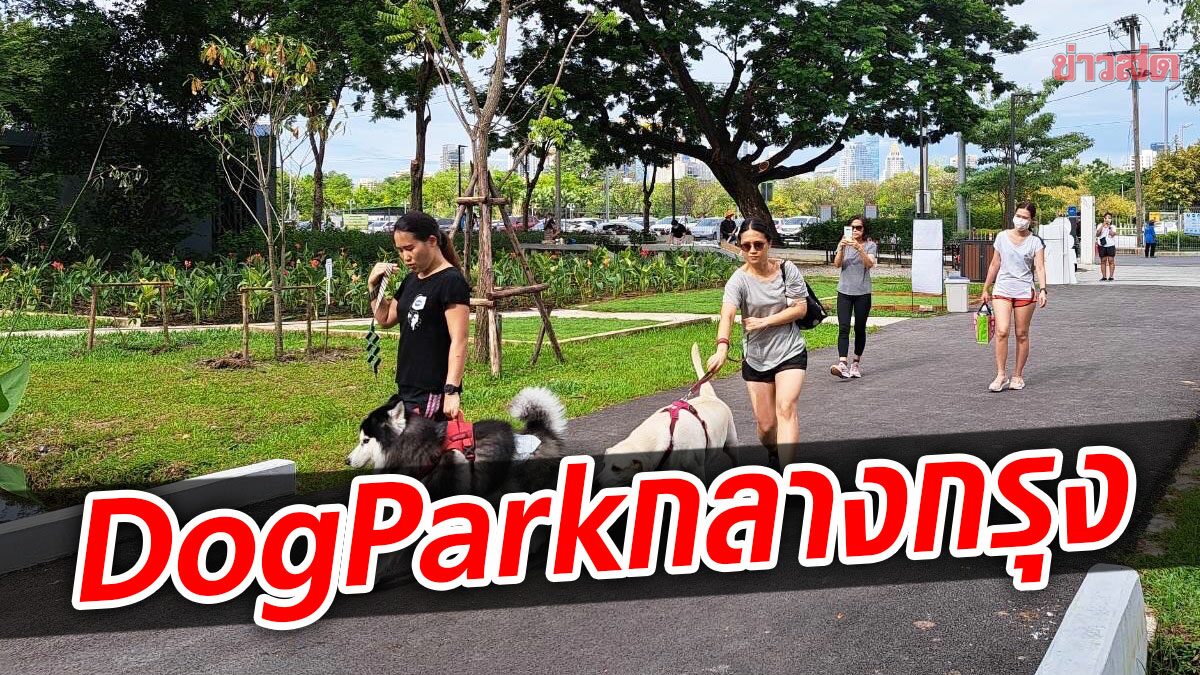 โฆษกรัฐบาล ปลื้ม Dog Park สวนเบญจกิติ กระแสตอบรับดี ชูนโยบาย 'บิ๊กตู่'