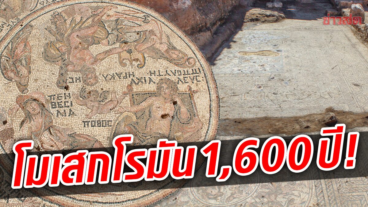 A world-class rarity! Syria finds intact mosaics from the Roman period ...