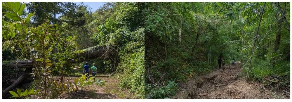 BEDO ให้การส่งเสริมวิสาหกิจชุมชนต้นแบบ เที่ยวเกษตรวิถีไทย จัดงานตลาดปัน ...