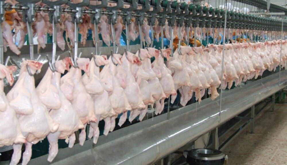 ครม. เคาะสินค้าควบคุมปี66 จำนวน 5 รายการ เนื้อไก่ ด้วย - ข่าวสด