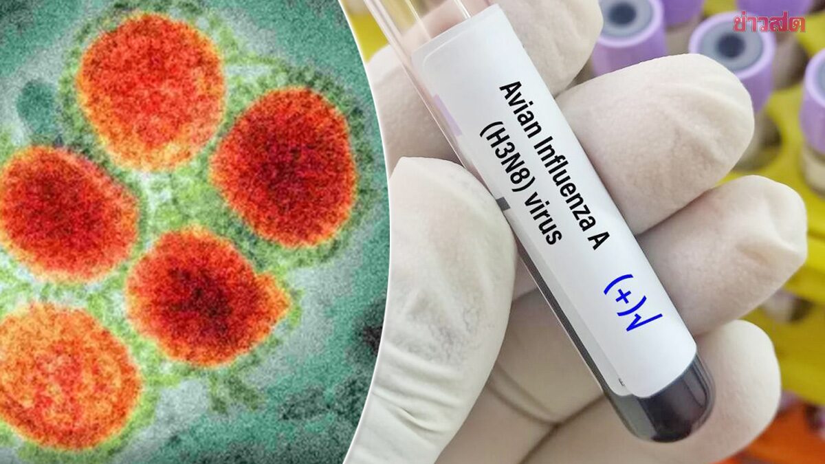 WHO เผยพบหญิงจีน “เซ่นหวัดนก” สายพันธุ์ H3N8 รายแรกของโลก!