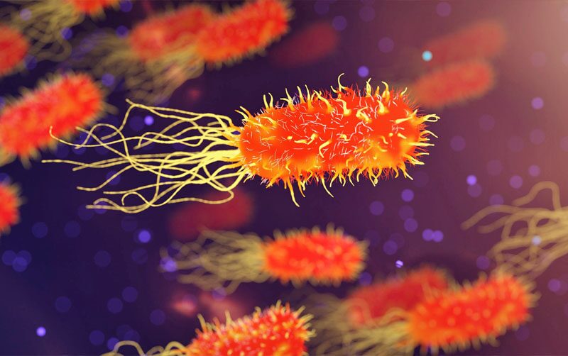 พบ “โปรโตสเตอรอล ไบโอตา” สิ่งมีชีวิตนักล่ารุ่นแรกของโลก-อายุ 1,600 ล้านปี