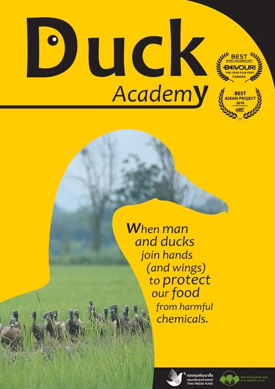 Duck Academy ฝูงเป็ดกลับบ้านเกิด สารคดีฝีมือคนไทย ที่อยากชวนคนไทยไปดู