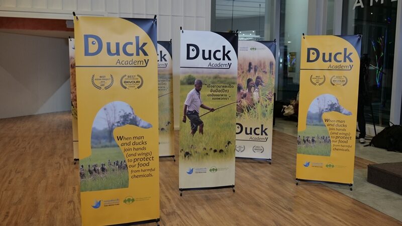Duck Academy ฝูงเป็ดกลับบ้านเกิด สารคดีฝีมือคนไทย ที่อยากชวนคนไทยไปดู