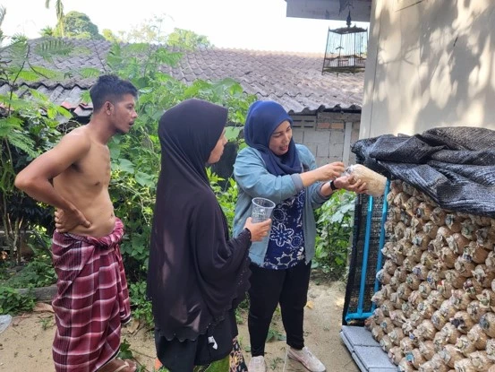 “เทคโนโลยีการผลิตเห็ดและการจัดการ” เพิ่มรายได้จังหวัดชายแดนใต้ - ข่าวสด