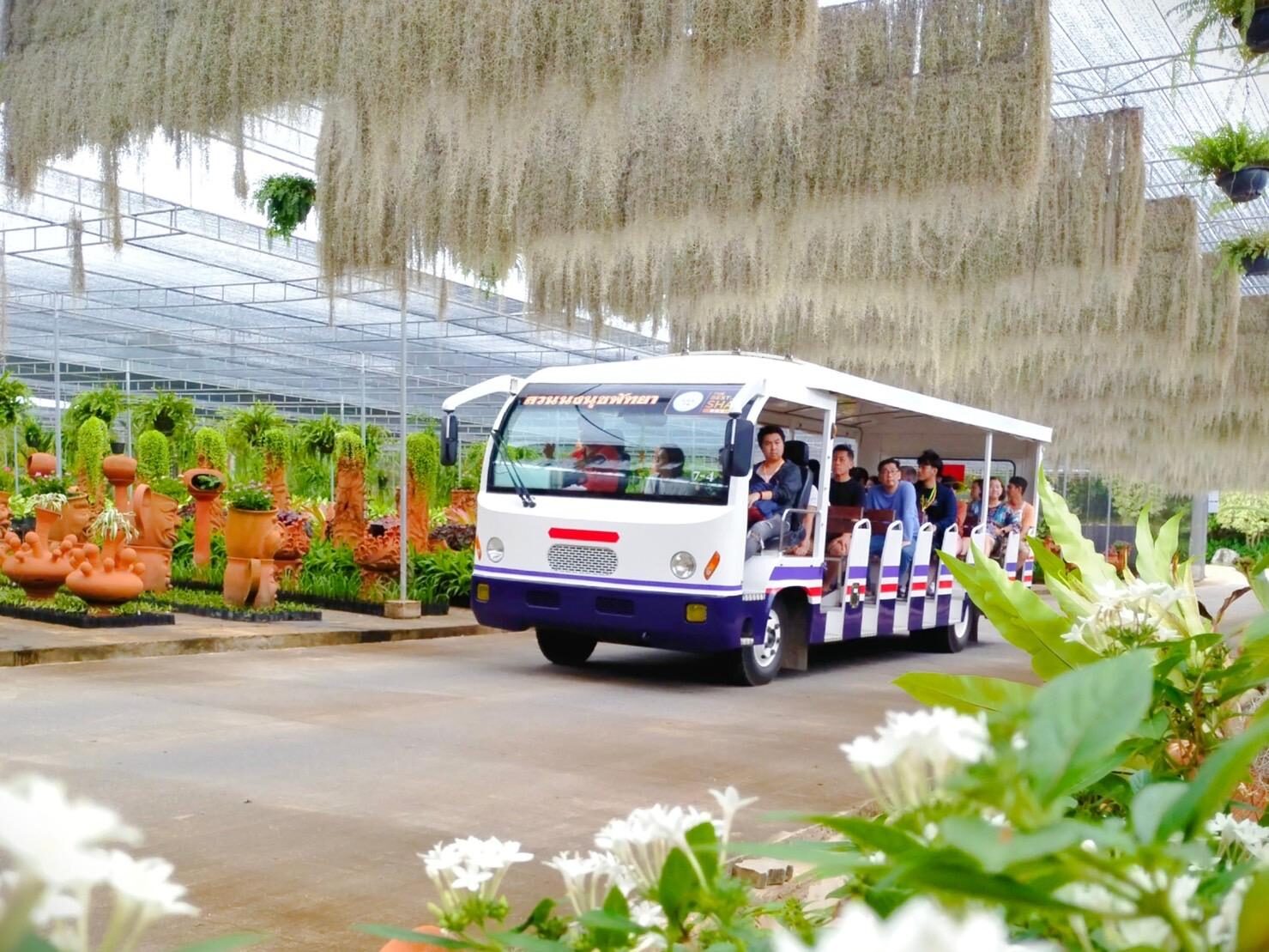 สวนนงนุช ขยายโปรฯ ผู้สูงอายุเข้าฟรีทุกวันศุกร์ พร้อมลด 50% ตลอดเดือน พ.ย.นี้ - ข่าวสด