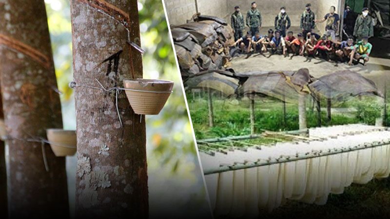 บทบรรณาธิการ - ผลงานราคายาง การแก้ปัญหายางเถื่อนบรรลุผลรวดเร็ว