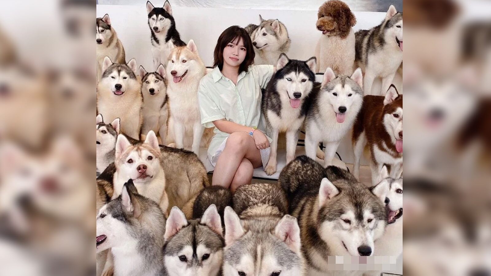 แก๊งไซฯ เห็นประตูคาเฟ่เปิดทิ้งไว้ ฉวยโอกาส วิ่งป่วนทั่วห้าง หนักสุด แย่งข้าวลูกค้า